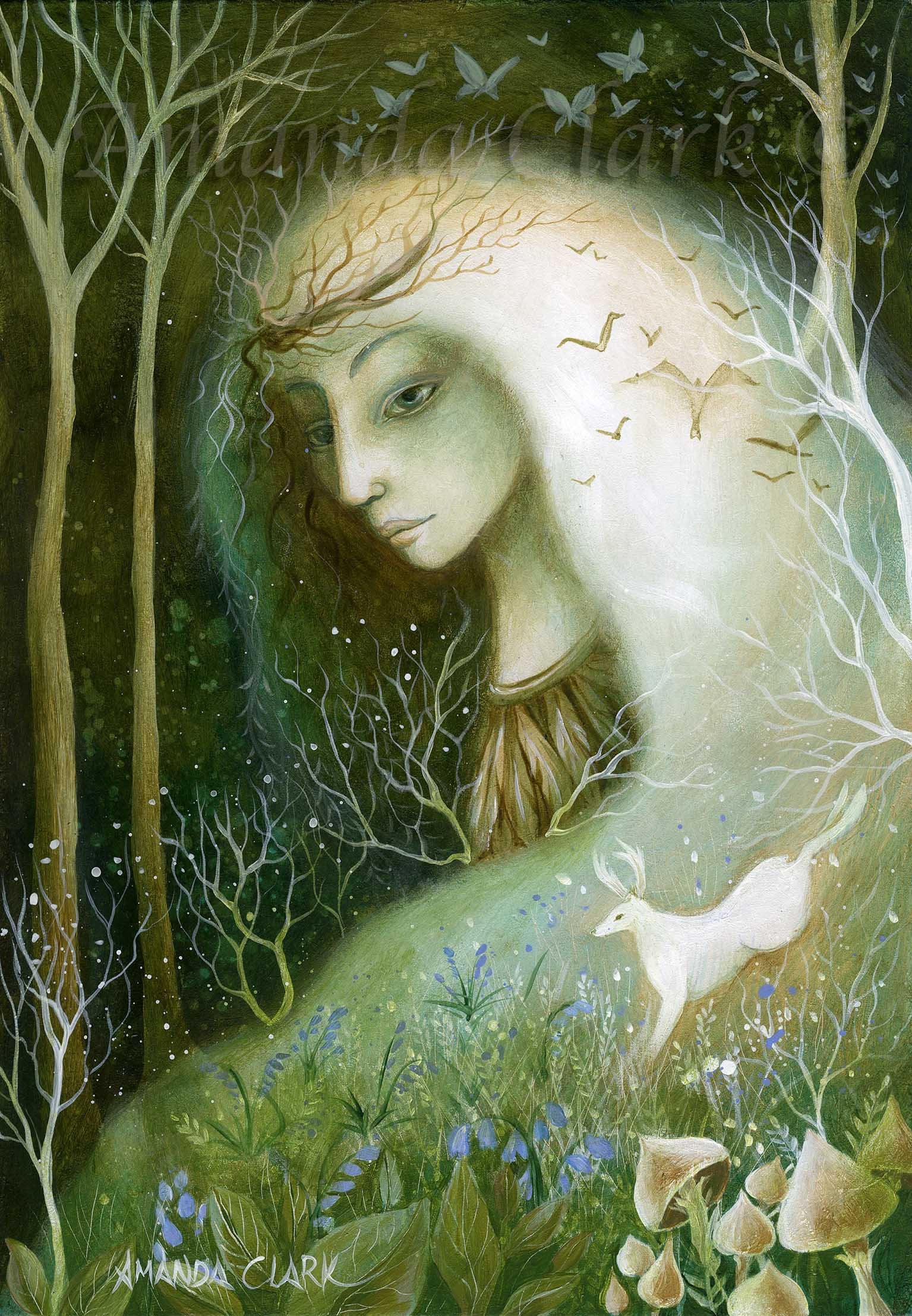 Limited Edition Giclee Print Titled "woodland" by Amanda Clark ...