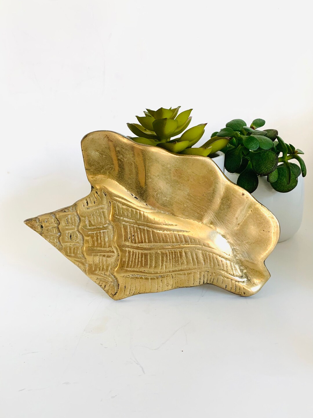 Vintage Brass Conch Shell Brass Seashell Wall Decor Nautical Coastal ...