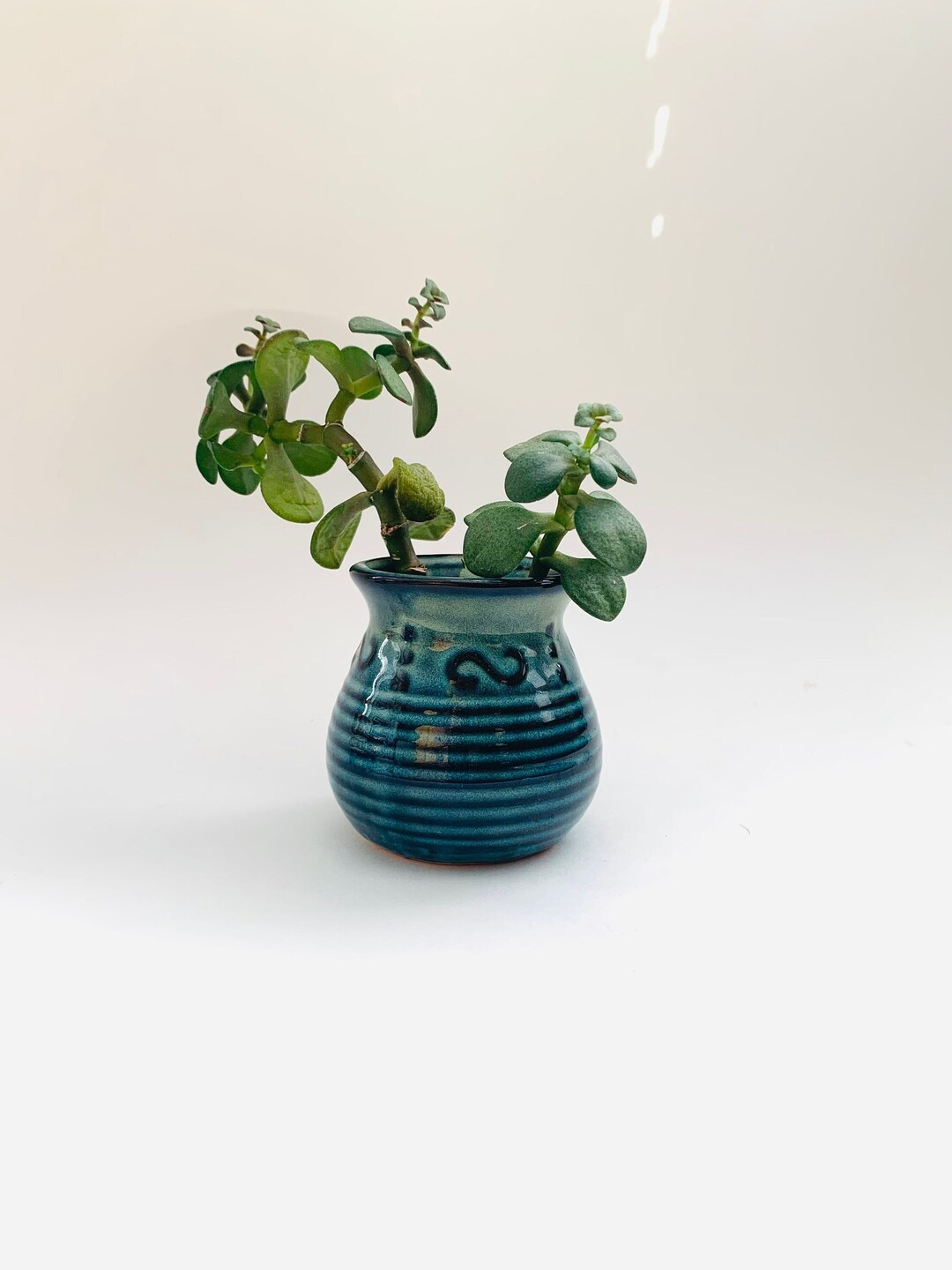 Vintage Pottery Turquoise Mini Vase, Succulent or Air Plant Planter ...