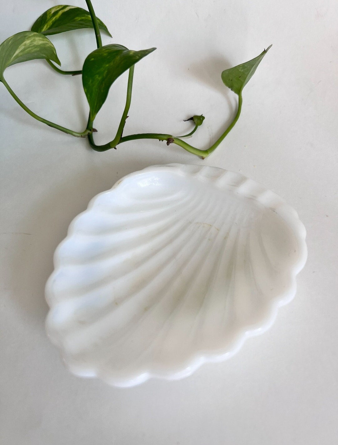 Vintage Milk Glass Shell Shaped Soap Dish White Glass - Etsy