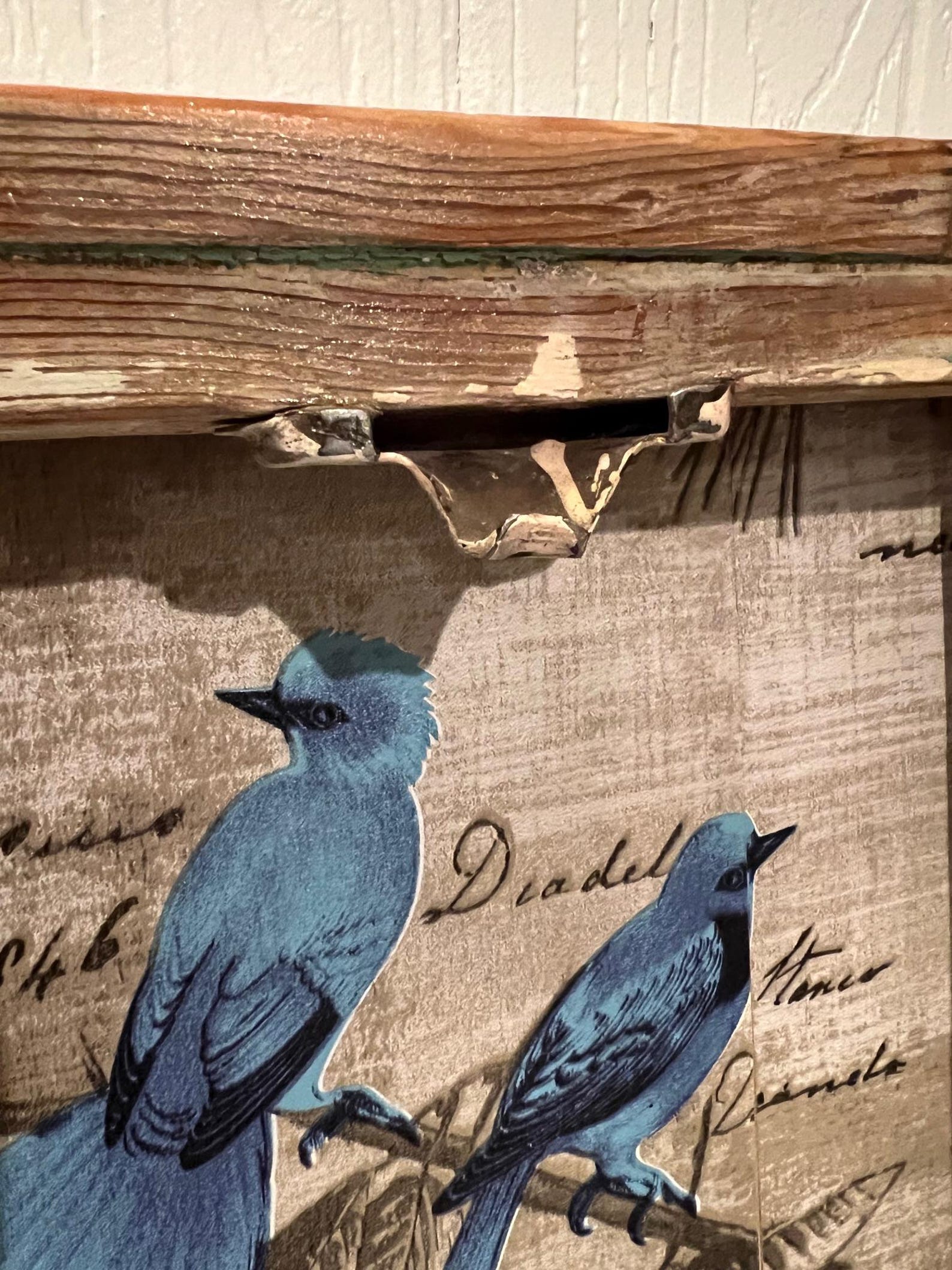 Vintage Window Pane With Floral/blue Bird Wallpaper - Etsy