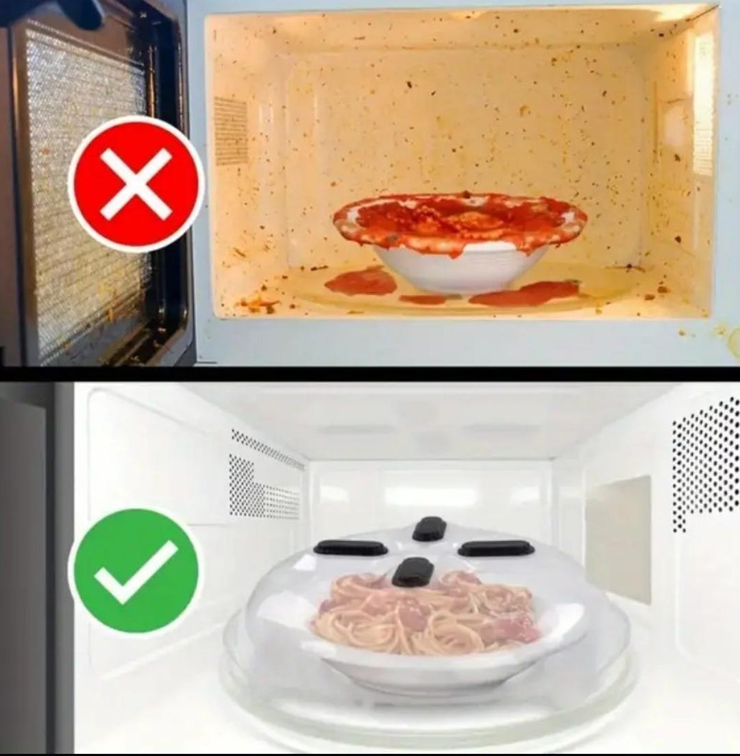 Fancy Modern Microwave Food Cover - Etsy