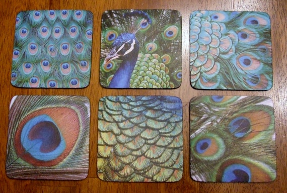 PEACOCK COASTER SET Set of 6 Absorbent Coasters Featuring | Etsy
