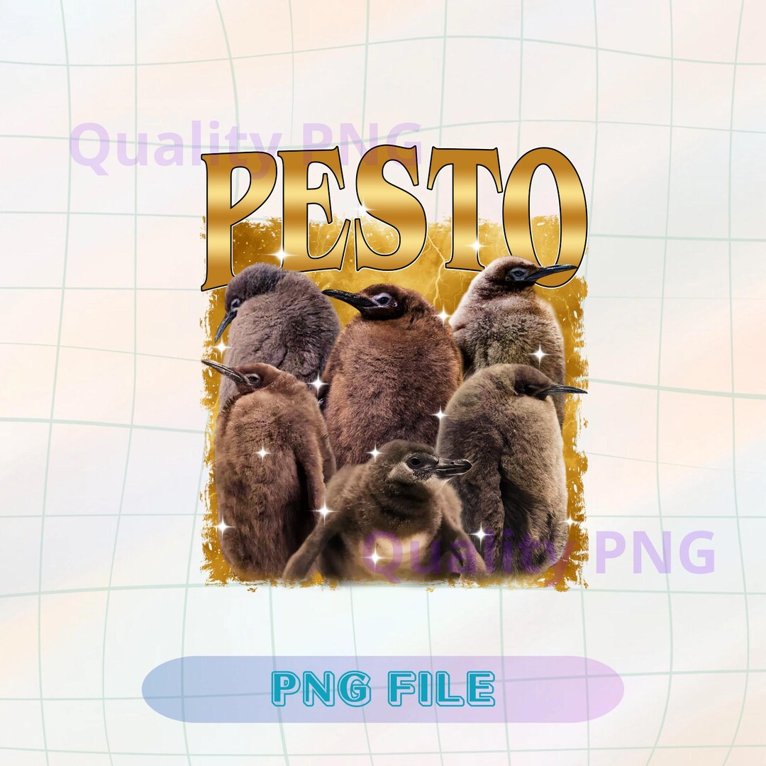Pesto the Penguin Png, Viral Pesto Penguin Png, Gaint Baby Penguin ...
