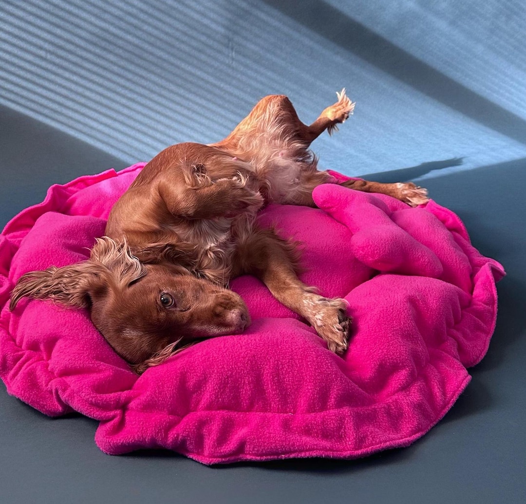 Round Transformer Dog Bed FLOWER, Dog Bed Nest, Dog Bed Pink Fuchsia - Etsy