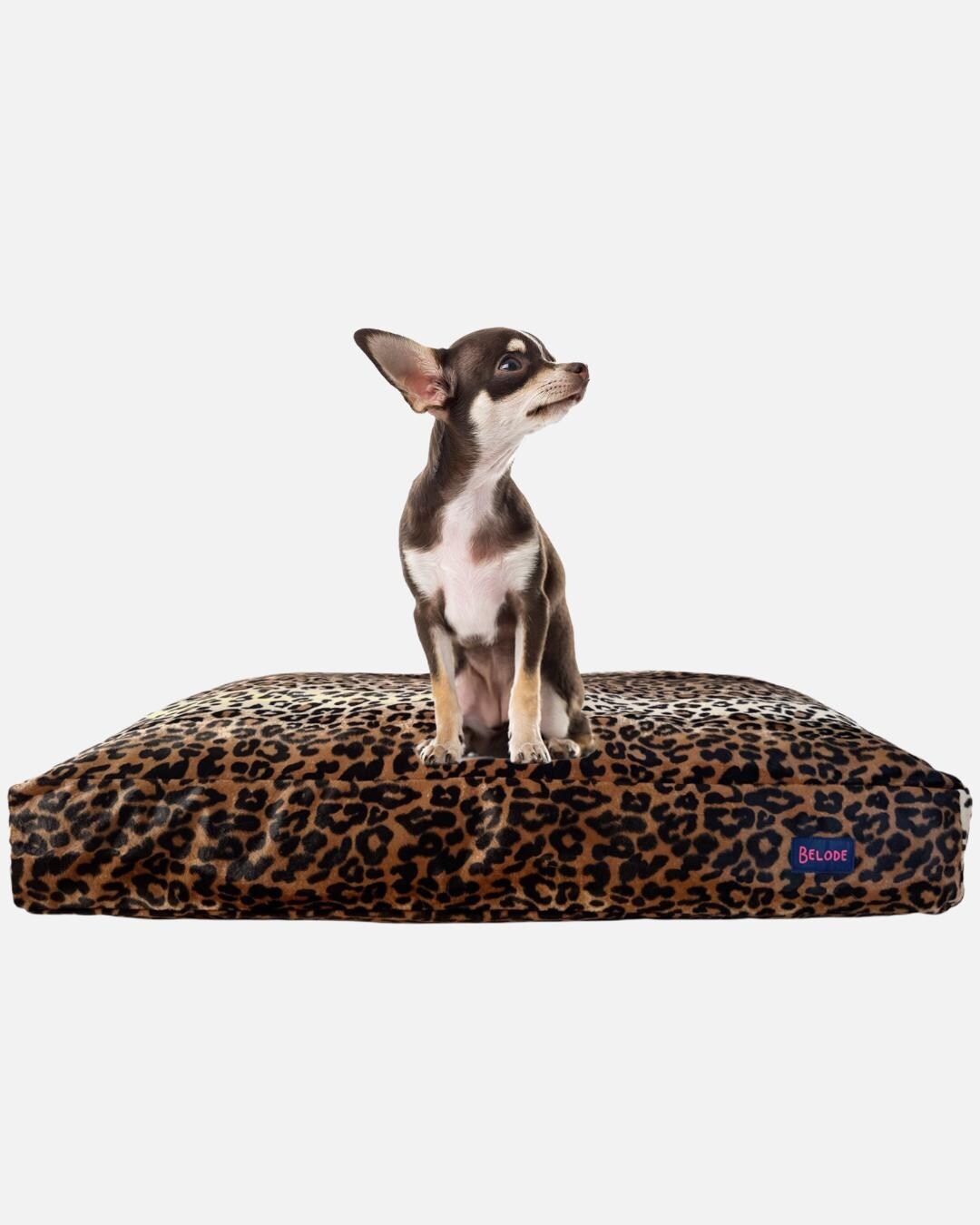 Leopard Dog Bed, Flat Dog Beds, Fashion Dog Bed, Animal Print Dog Bed ...
