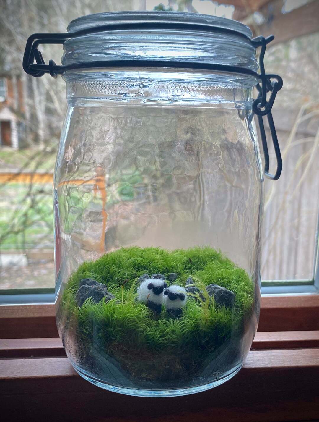 Moss Terrarium wee Ireland - Etsy