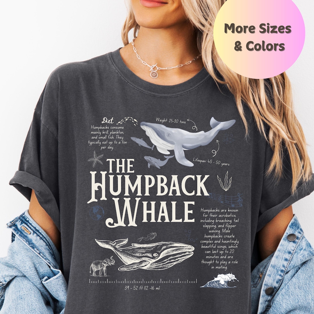 Comfort Colors Humpback Whale Anatomy Facts Shirt, Beach Tee, Humpback ...