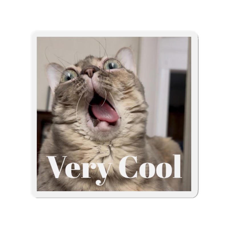 Funny Fridge Magnets Cat - Etsy