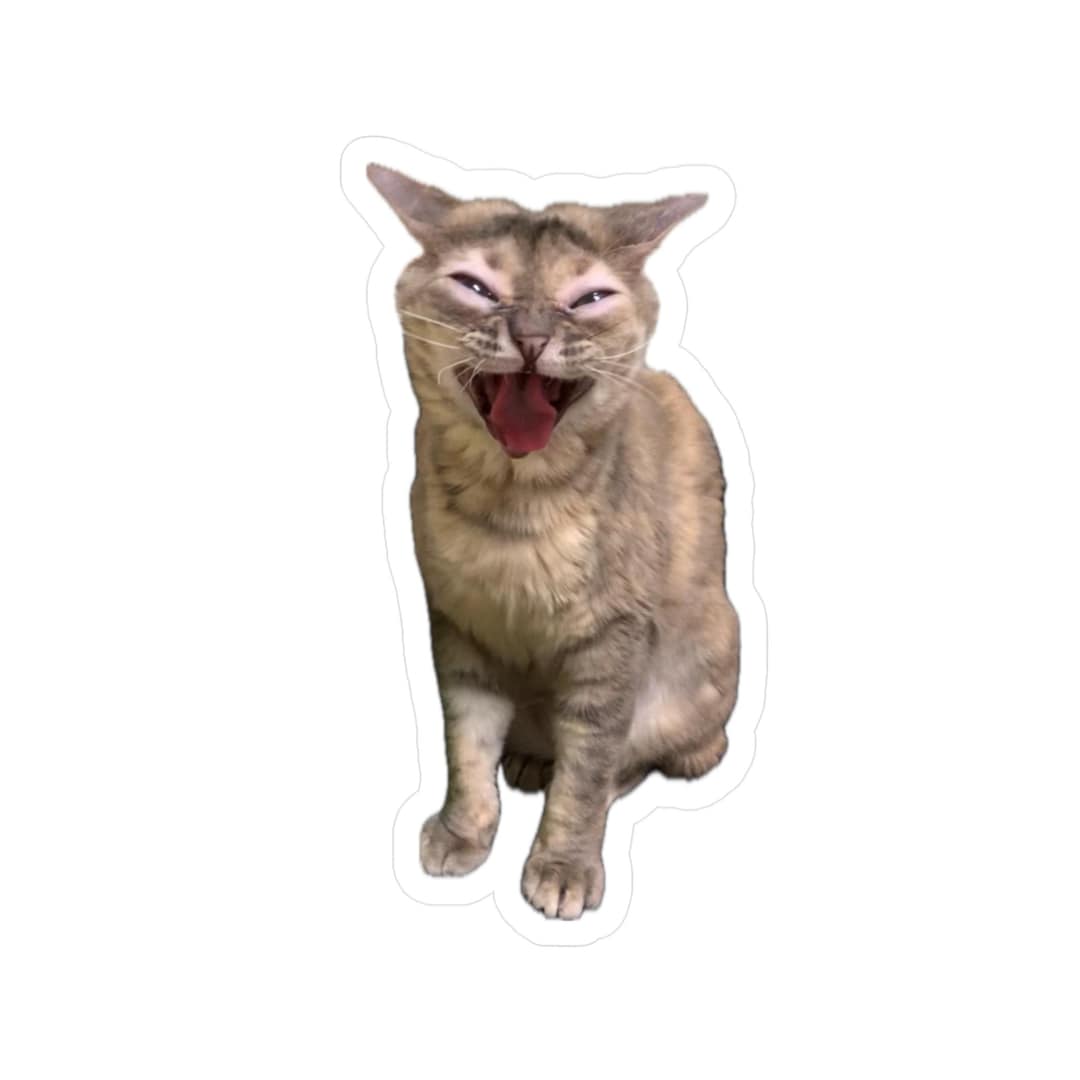 Funny Cat Kiss-cut Vinyl Decals, Cute Cat Stickers for Laptop ...