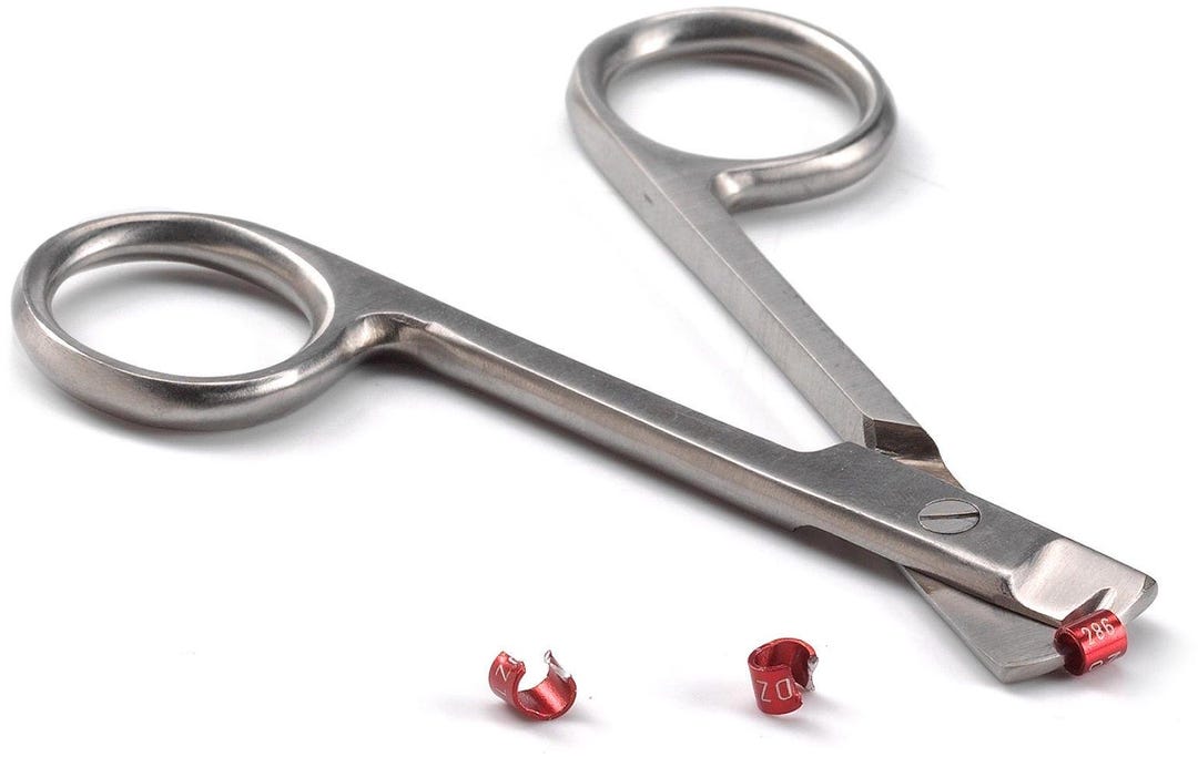 Scissors for Cutting Bird Rings - Etsy