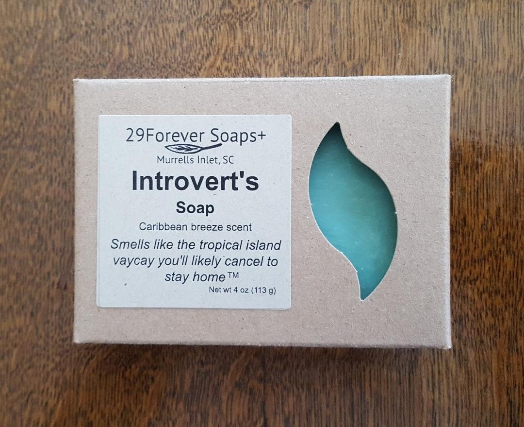 Introvert's Soap Funny Gift for Introvert, Funny Gift for Homebody ...