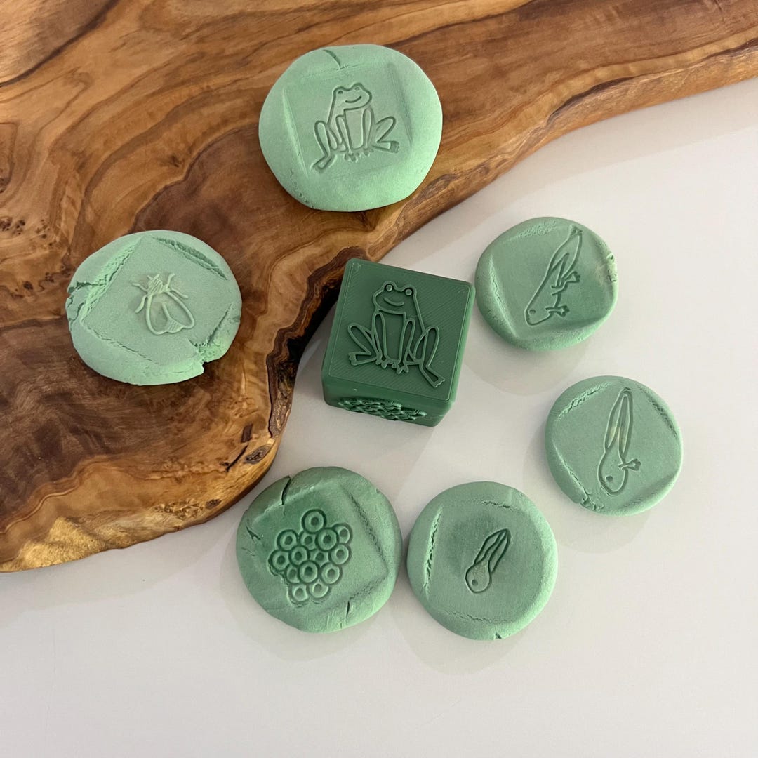 Frog Life Cycle Stamper Cube for Playdough - Etsy