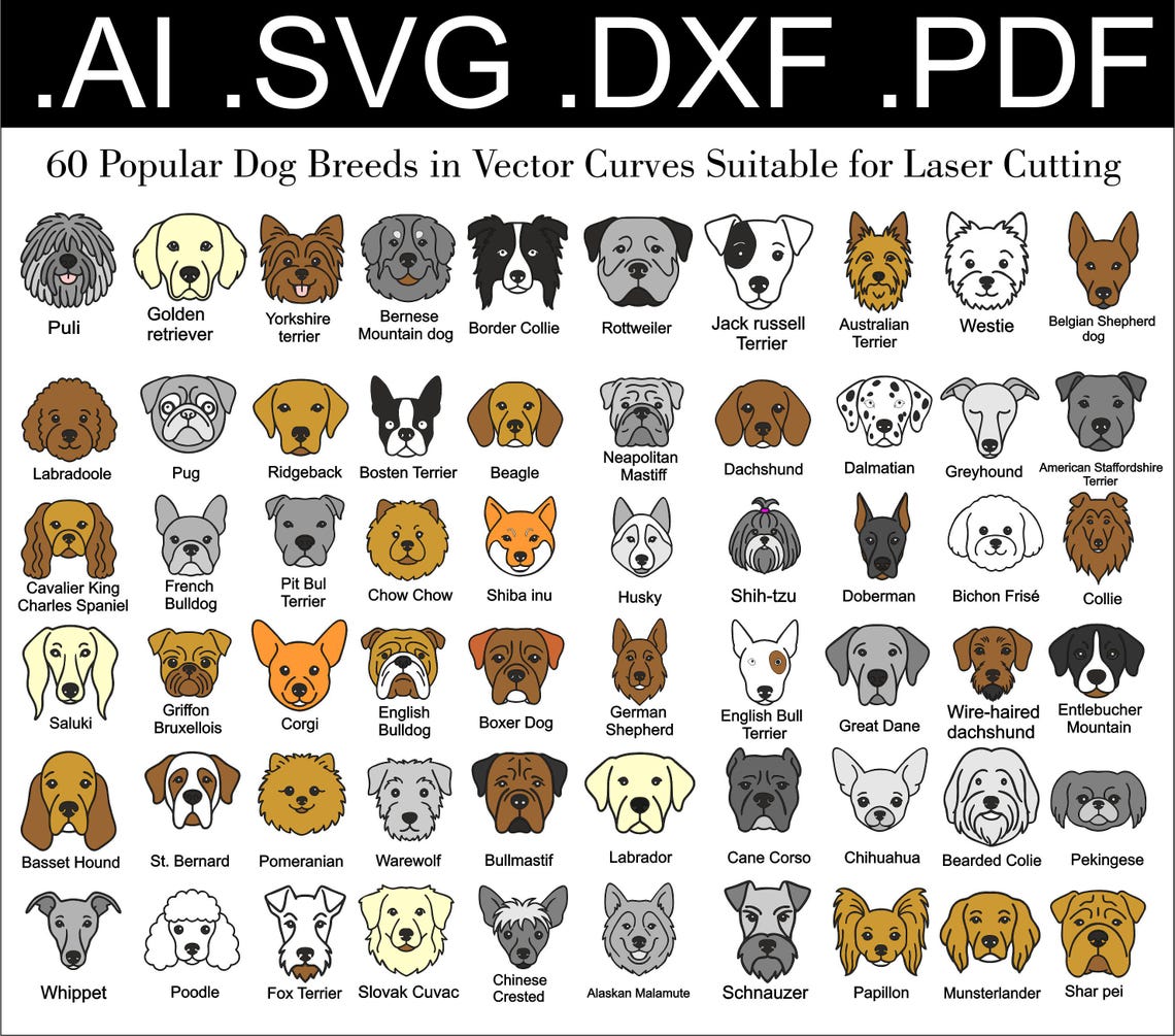 60 Dog Breeds SVG Bundle – Laser-ready Cut Files for Jewelry, Brooches ...