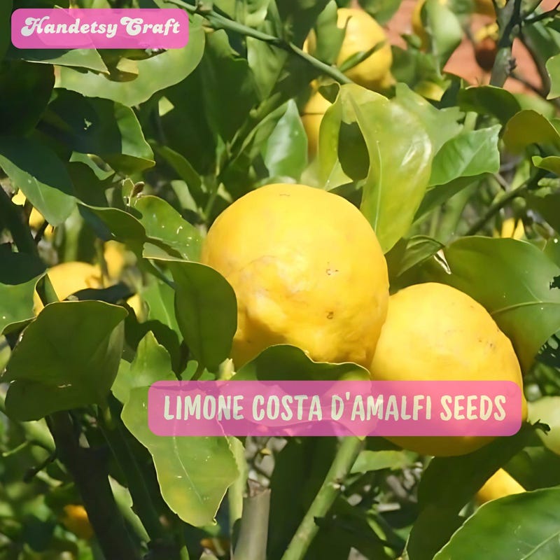 Lemon Tree - Etsy