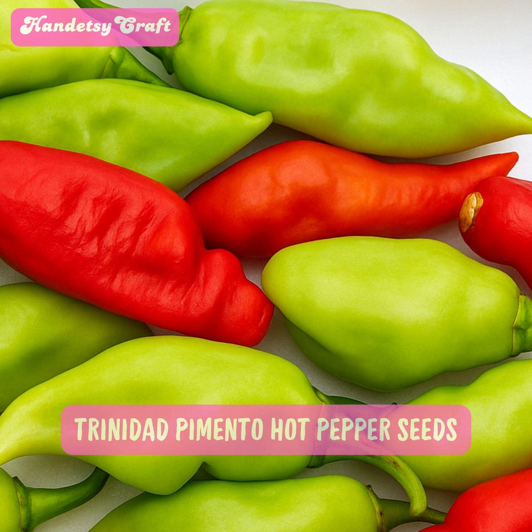 25 Trinidad Pimento Hot Pepper Seeds, Rare Caribbean Chili, Mild Heat ...