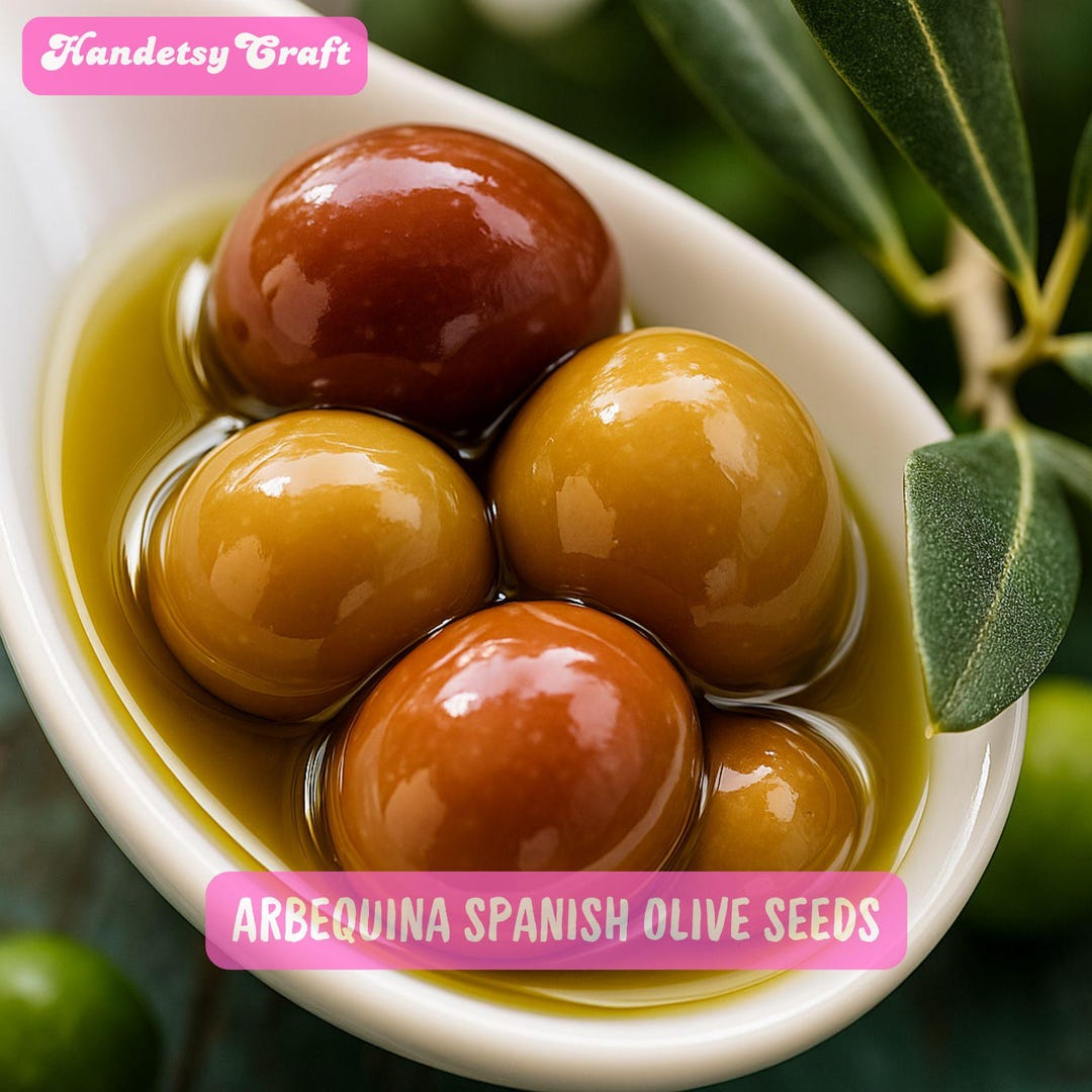 10 Arbequina Olive Seeds, Spanish Olive Tree, Bonsai, Mediterranean ...