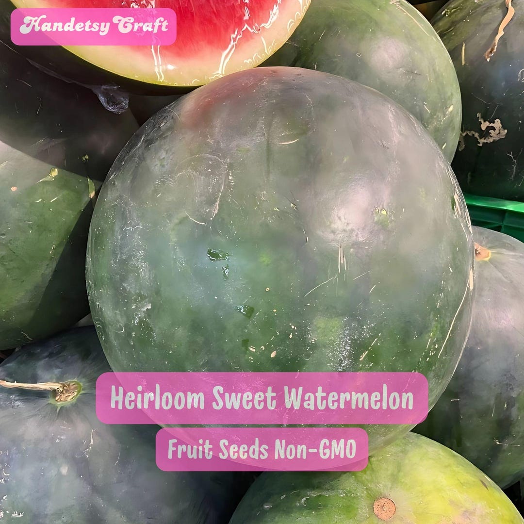 25 Seeds All Sweet Watermelon Seeds Heirloom Non-gmo Fruit Fresh Seeds ...