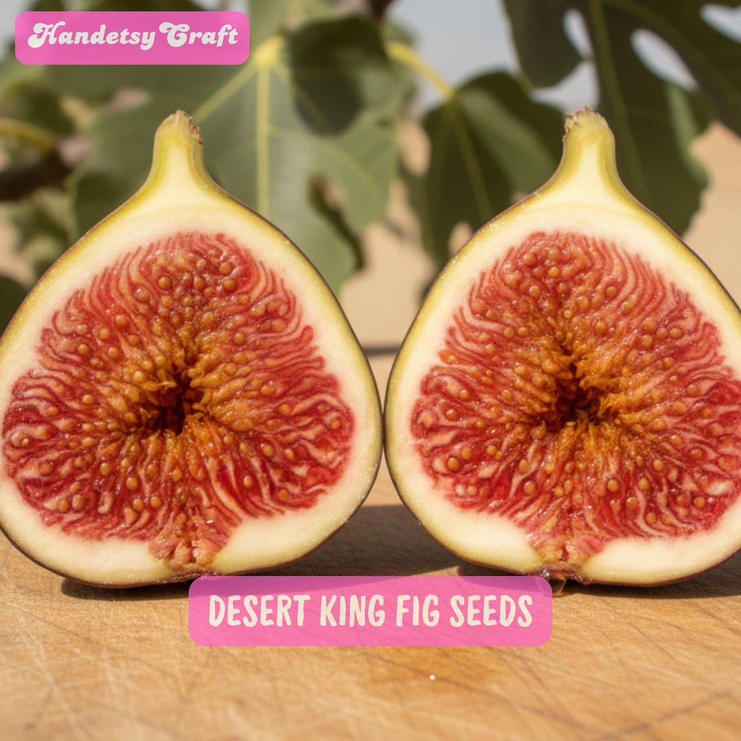 100 Desert King Fig Seeds: Rare Sweet Green Skin Heirloom - Etsy
