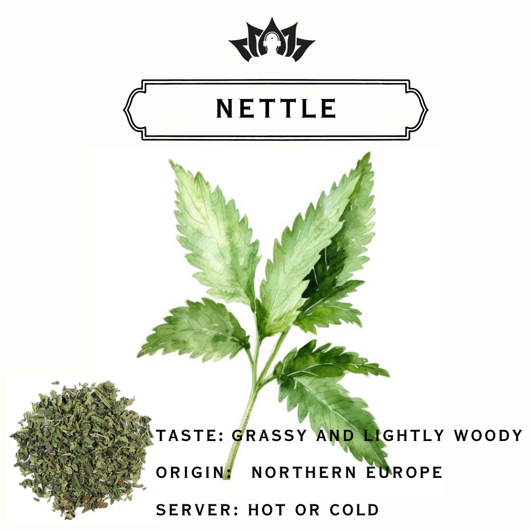 Nettle Loose Leaf Herbal Tea by Urban Monk Tea Co. 100% Natural - Etsy