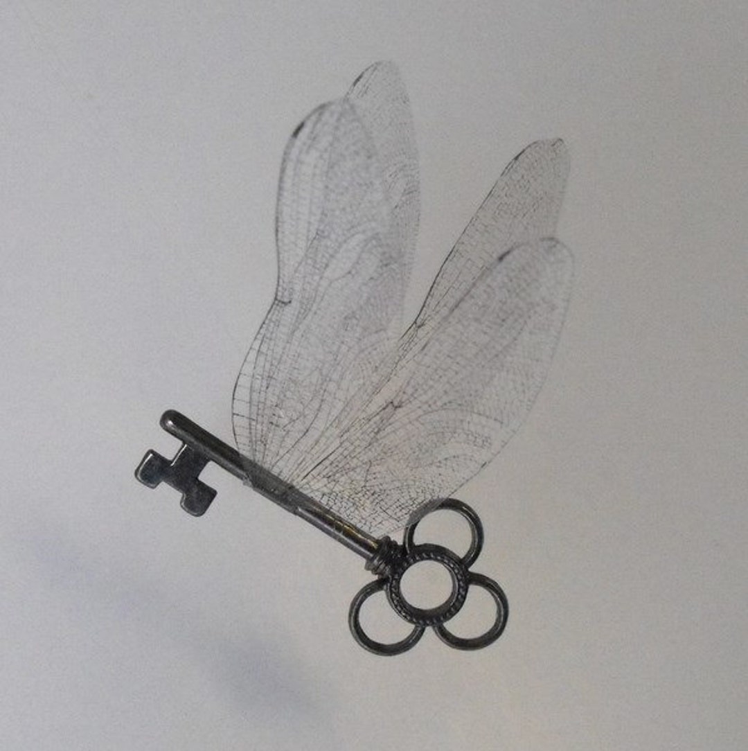 Flying 'magical' Key With Dragonfly Wings in Gunmetal Black - BDTTDF ...