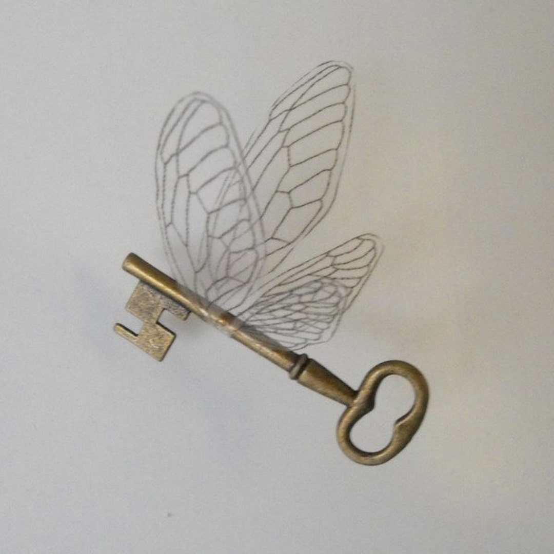 Winged Flying Key With Large Wings in Antique Brass - ASLP - Etsy