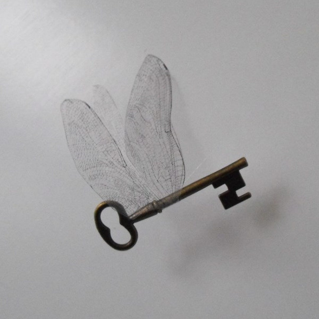 Flying Key With Dragonfly Wings in Antique Brass - ASDF - Etsy
