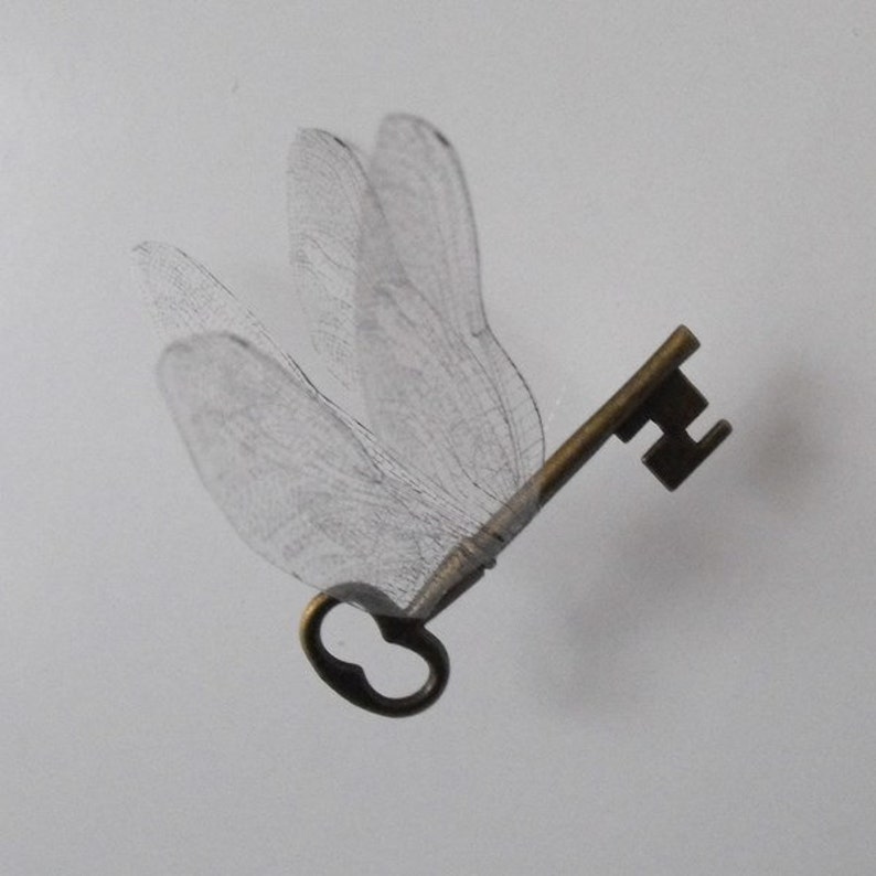 Flying Key With Dragonfly Wings in Antique Brass - ASDF - Etsy
