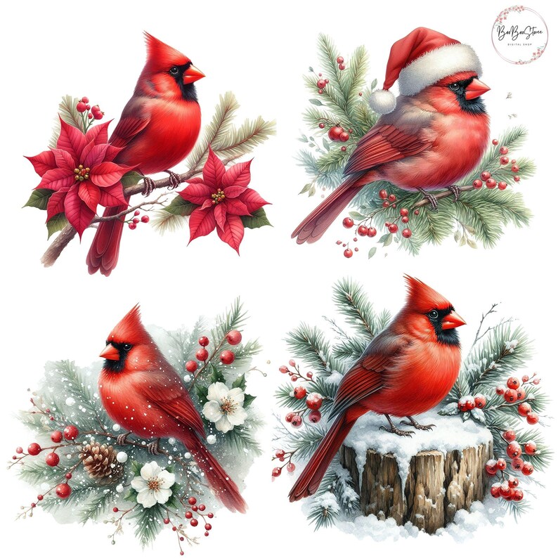 40 Red Cardinal Christmas Clipart Bundle, Watercolor Red Cardinal ...