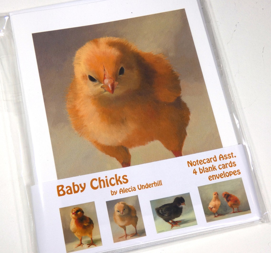 Chick Card Assortment - Etsy