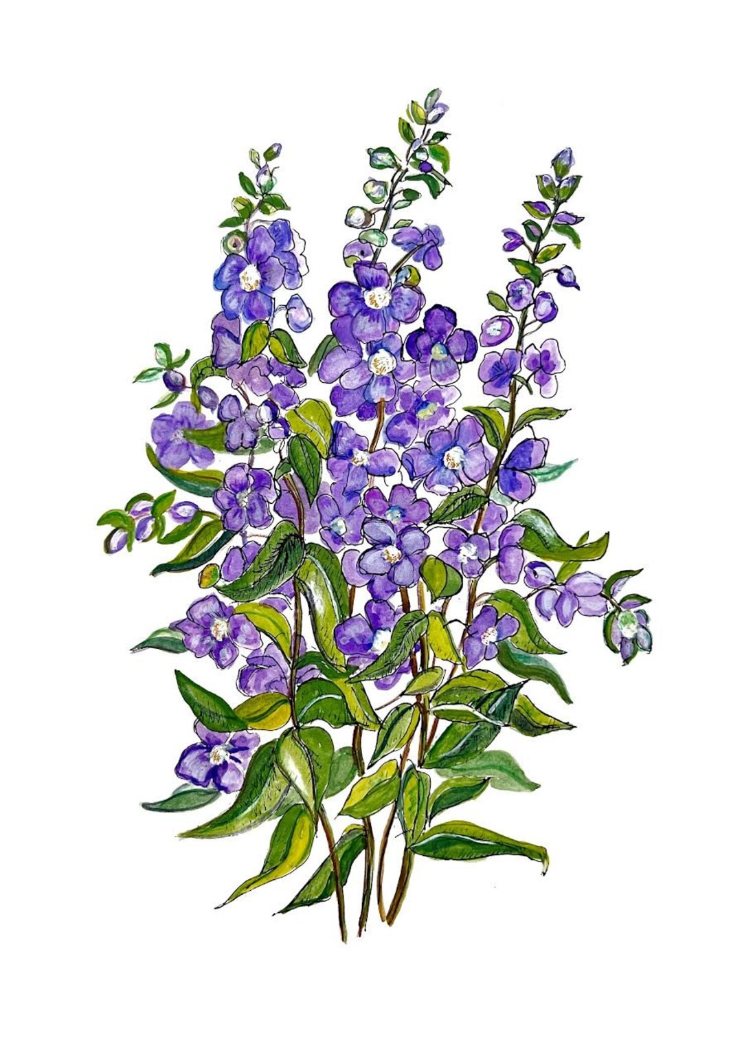 Larkspur Watercolor Painting, Floral Pen & Ink Sketch - Etsy