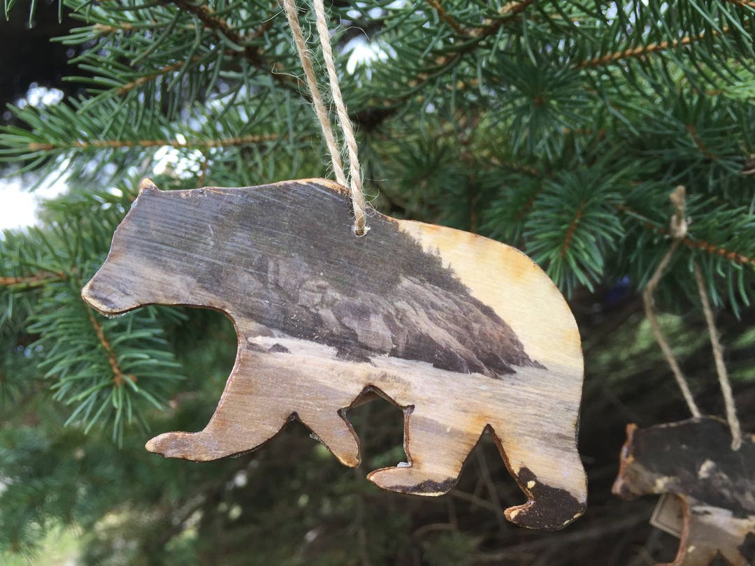 1 - ACADIA National Park, ME - Bear Ornament - Photography - Photo ...