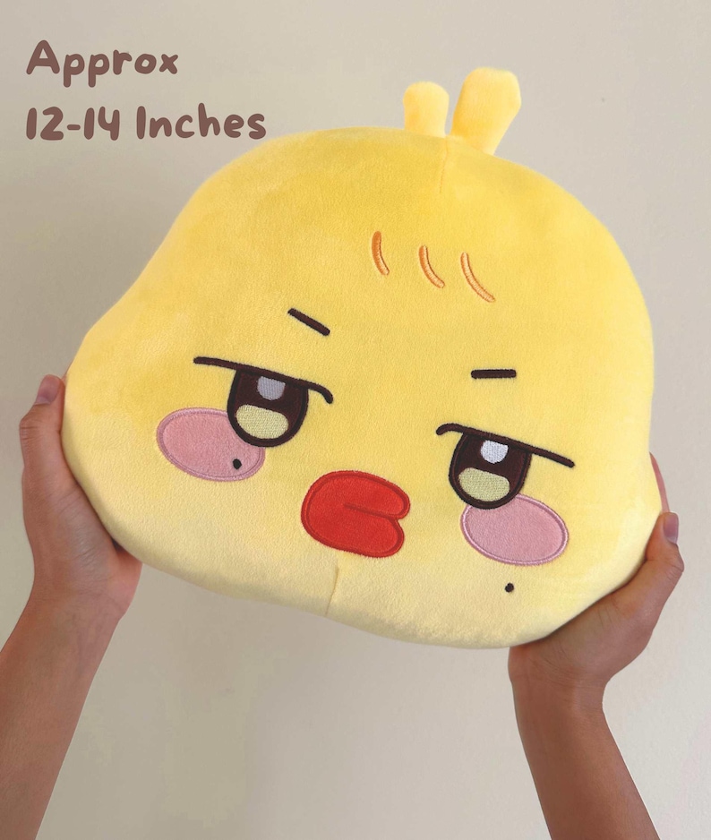 Aniteez-kussen 12-14 inch JJOONGrami DDEONGbyeoli TYUdeongi HETmong ...