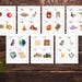 Autumn Fall Theme Alphabet Flash Cards | ABC Cards | Editable Digital ...
