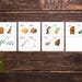 Autumn Fall Theme Alphabet Flash Cards | ABC Cards | Editable Digital ...