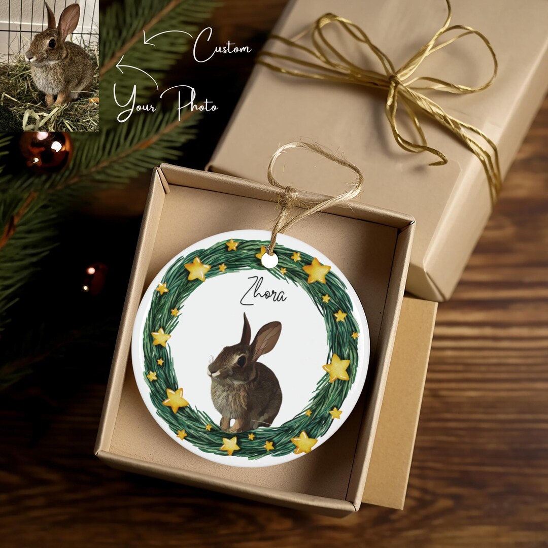 Personalized Pet's First Christmas Bauble, Puppy's,rabbit's 1st Xmas ...