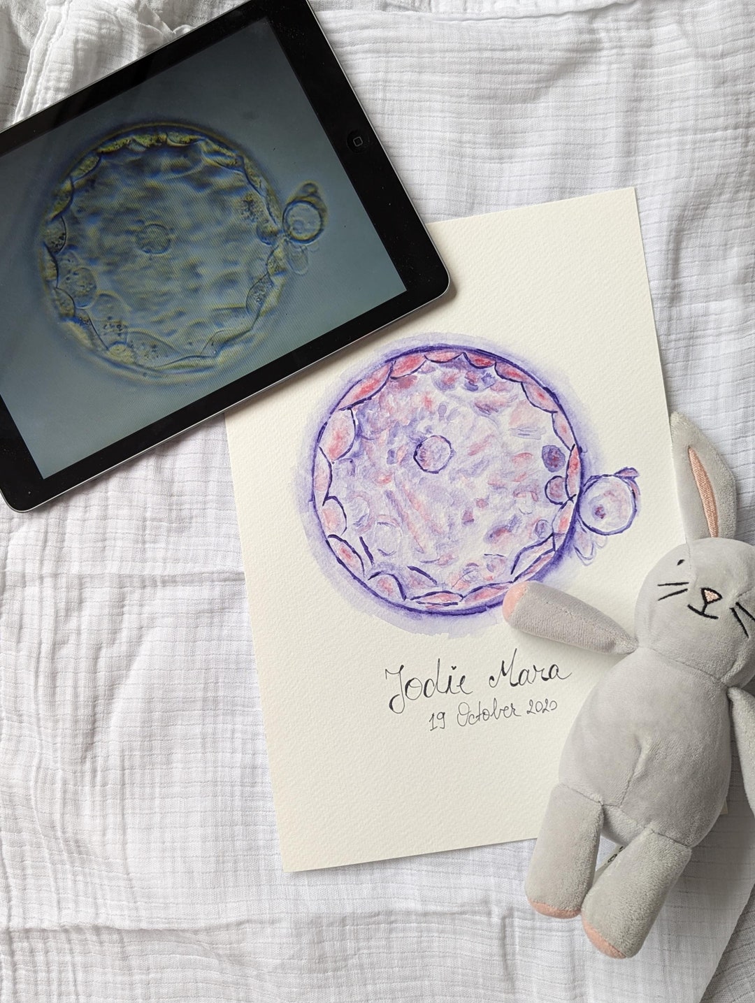 Hand Painted Bespoke Embryo IVF Watercolour Painting | Hand Painted ...
