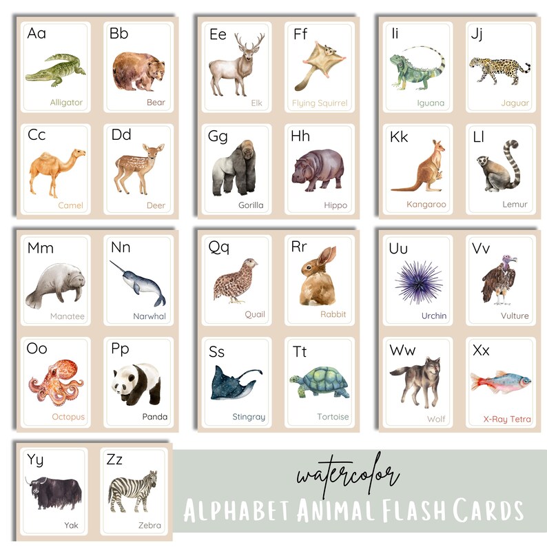 Alphabet Animal Flash Cards - Watercolor Animals - DIGITAL FILE ONLY - Etsy