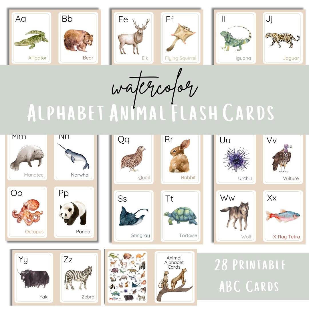 Alphabet Animal Flash Cards - Watercolor Animals - DIGITAL FILE ONLY - Etsy