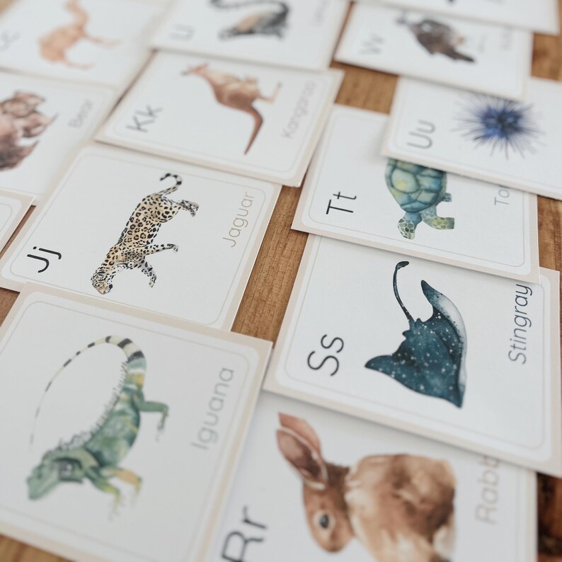 Alphabet Animal Flash Cards - Watercolor Animals - DIGITAL FILE ONLY - Etsy