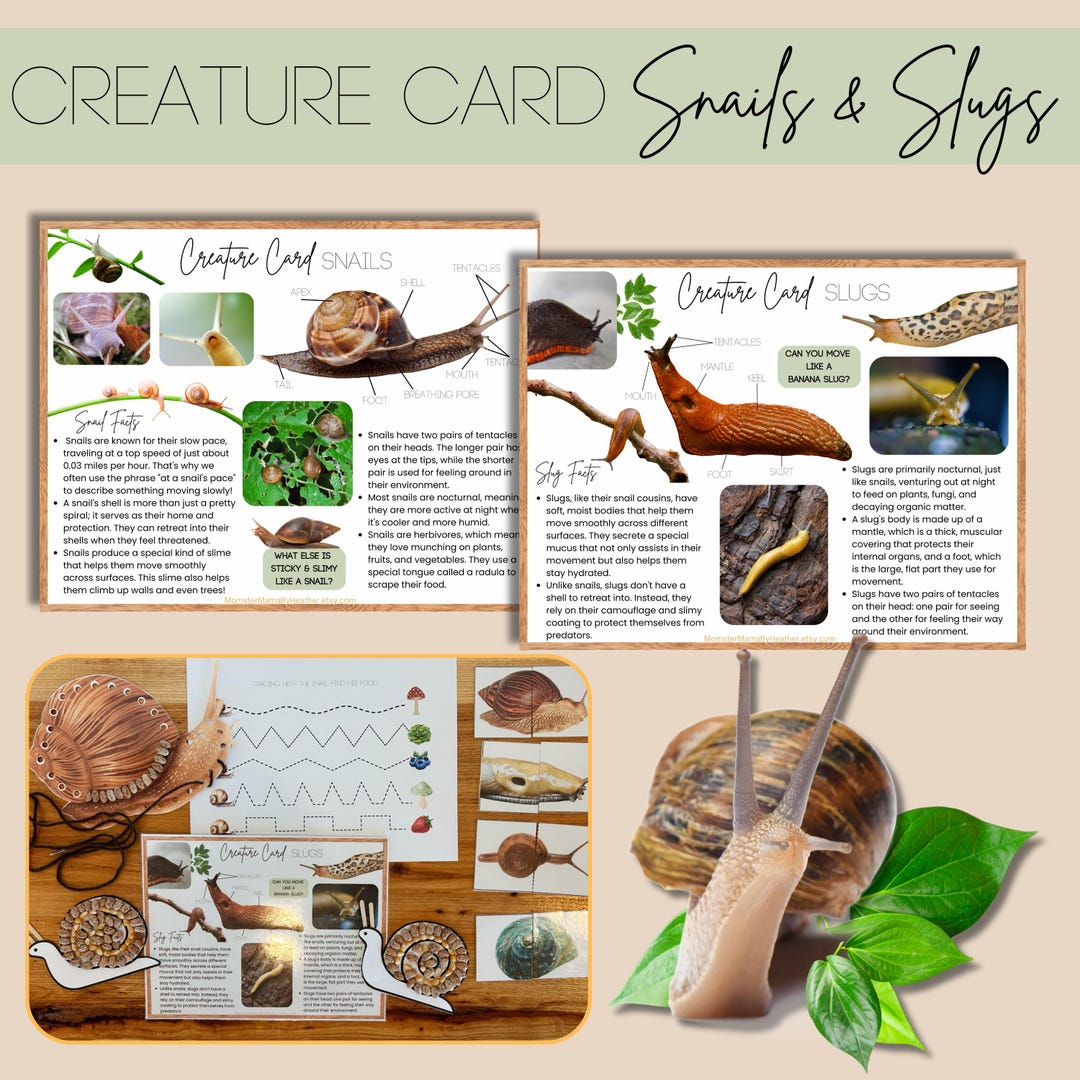 Creature Card - Snails & Slugs - Etsy