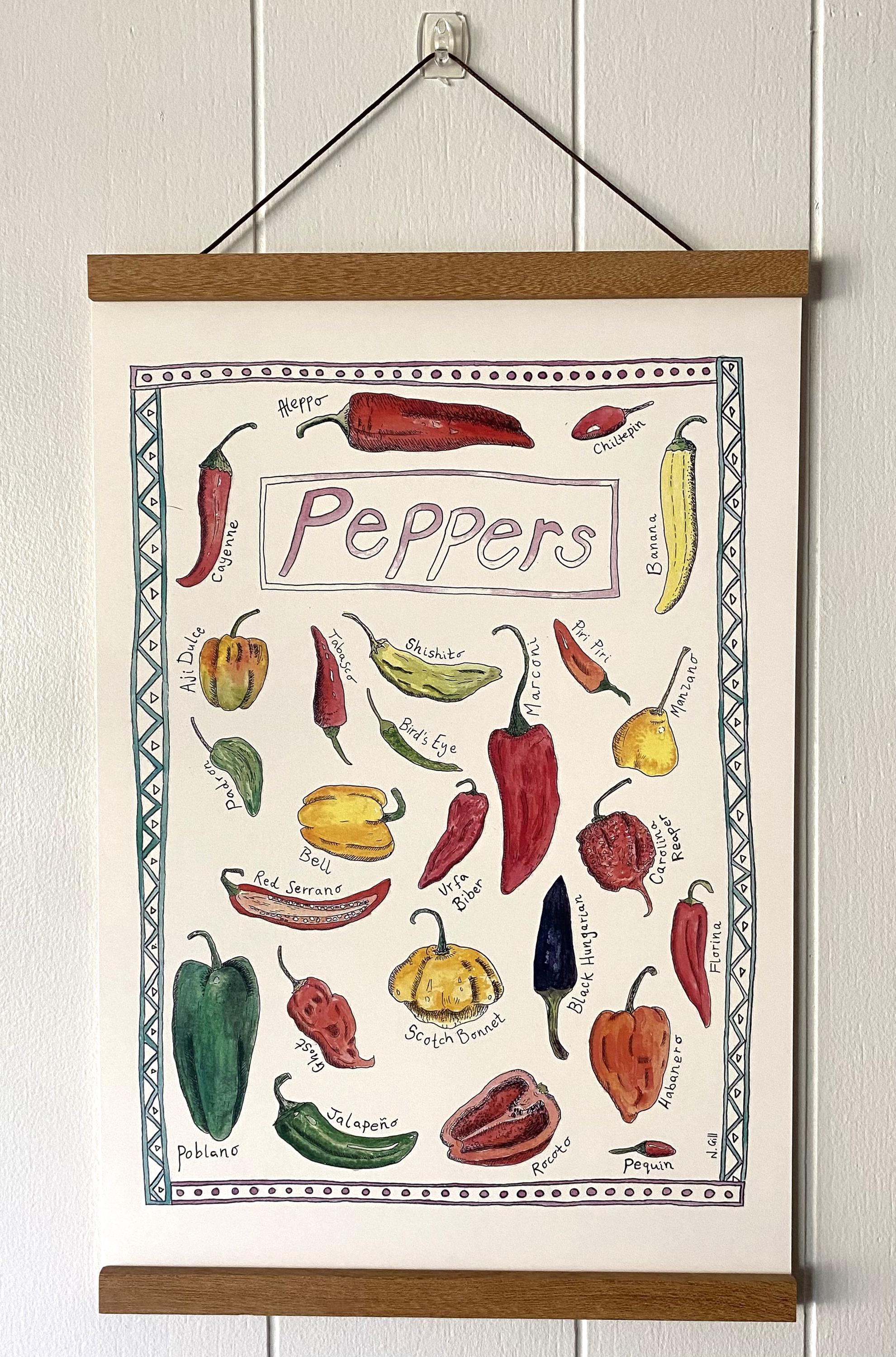 Watercolour Pepper Varieties Poster - Hand-drawn Botanical Art Print ...
