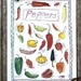Watercolour Pepper Varieties Poster - Hand-drawn Botanical Art Print ...