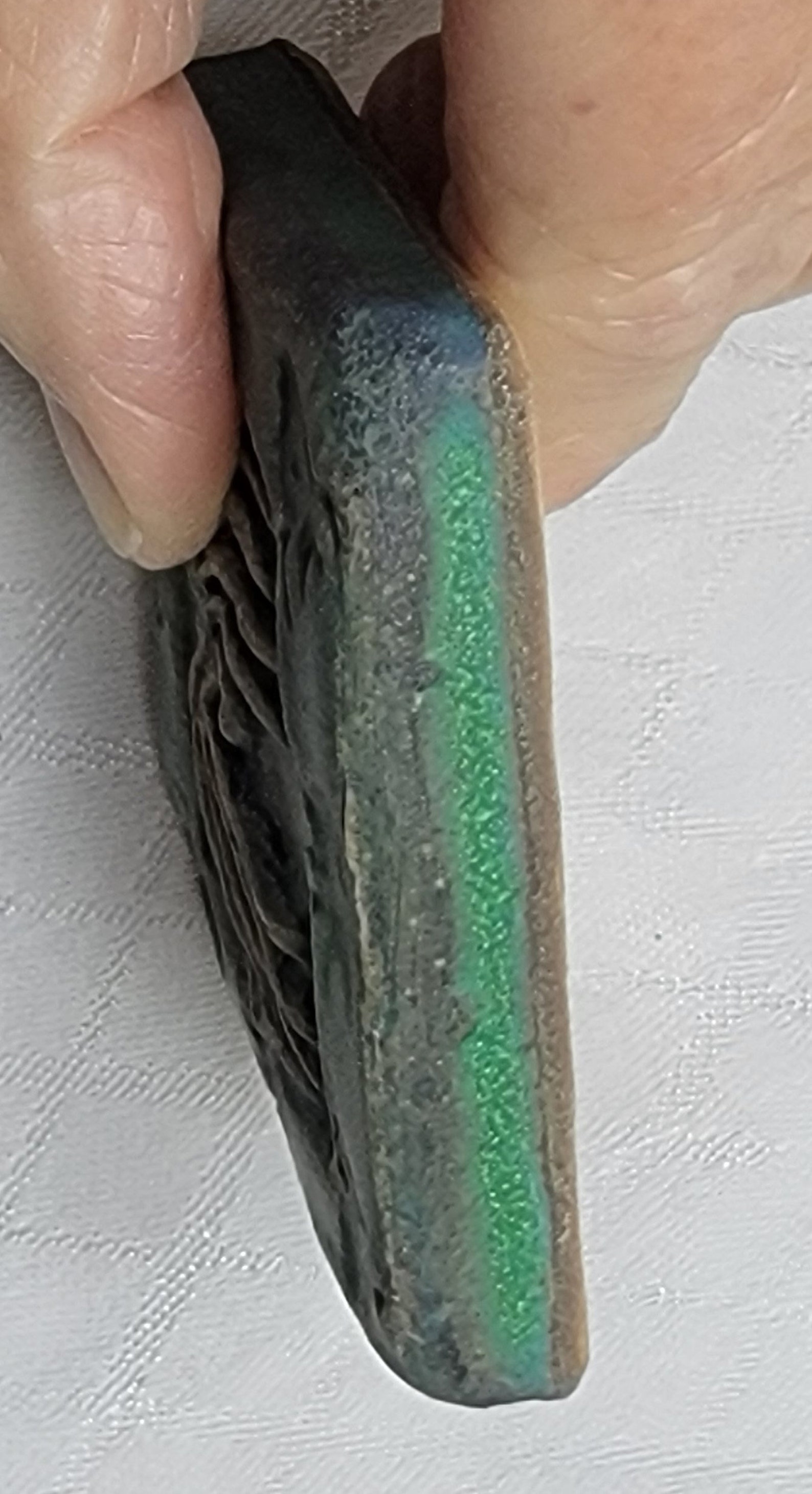 Sara Frank Pottery Spider Tile Green Insects Beetles Small 2 - Etsy