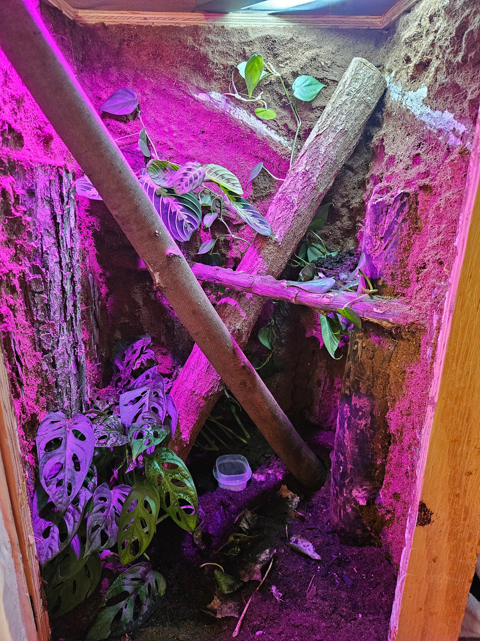 Custom Build Reptile Enclosures - Etsy