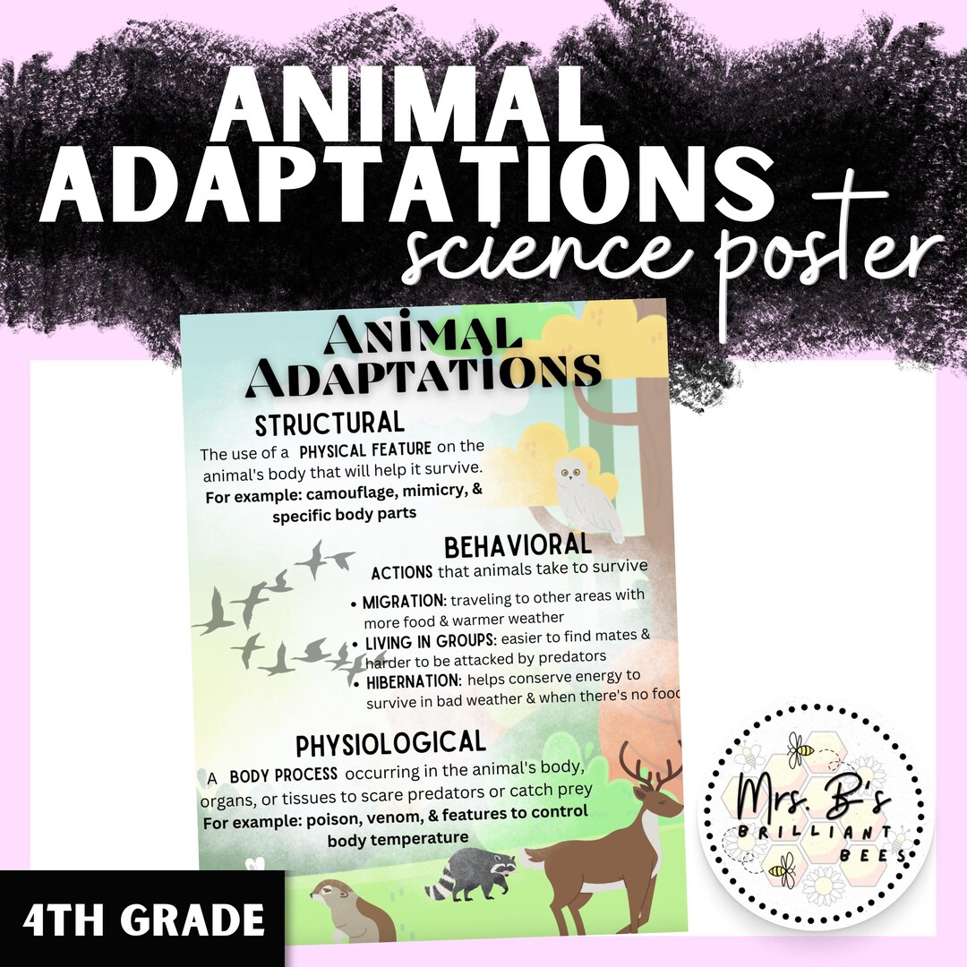 Animal Adaptations Poster - Etsy
