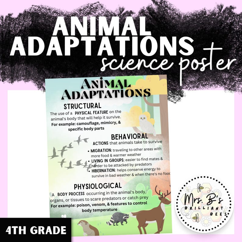 Animal Adaptations Poster - Etsy