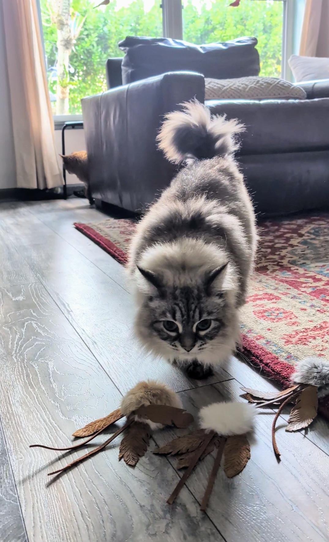 Cat Toy Leather Feathers Handmade With Rabbit Fur and Catnip - Etsy