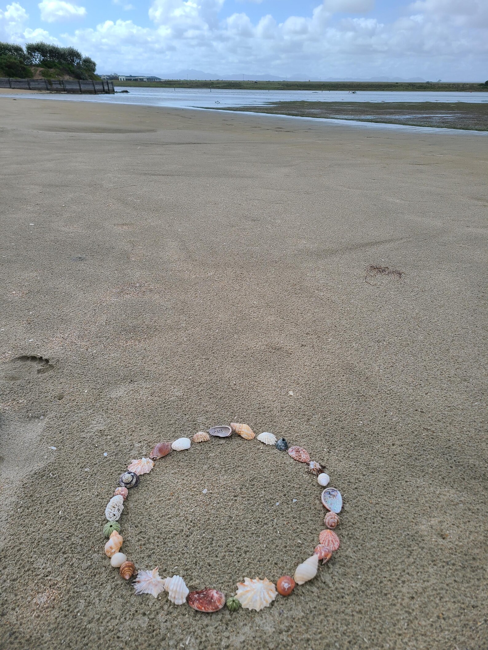 Seashell Signs, Digital Download, Ready to Purchase and Print on Paper ...