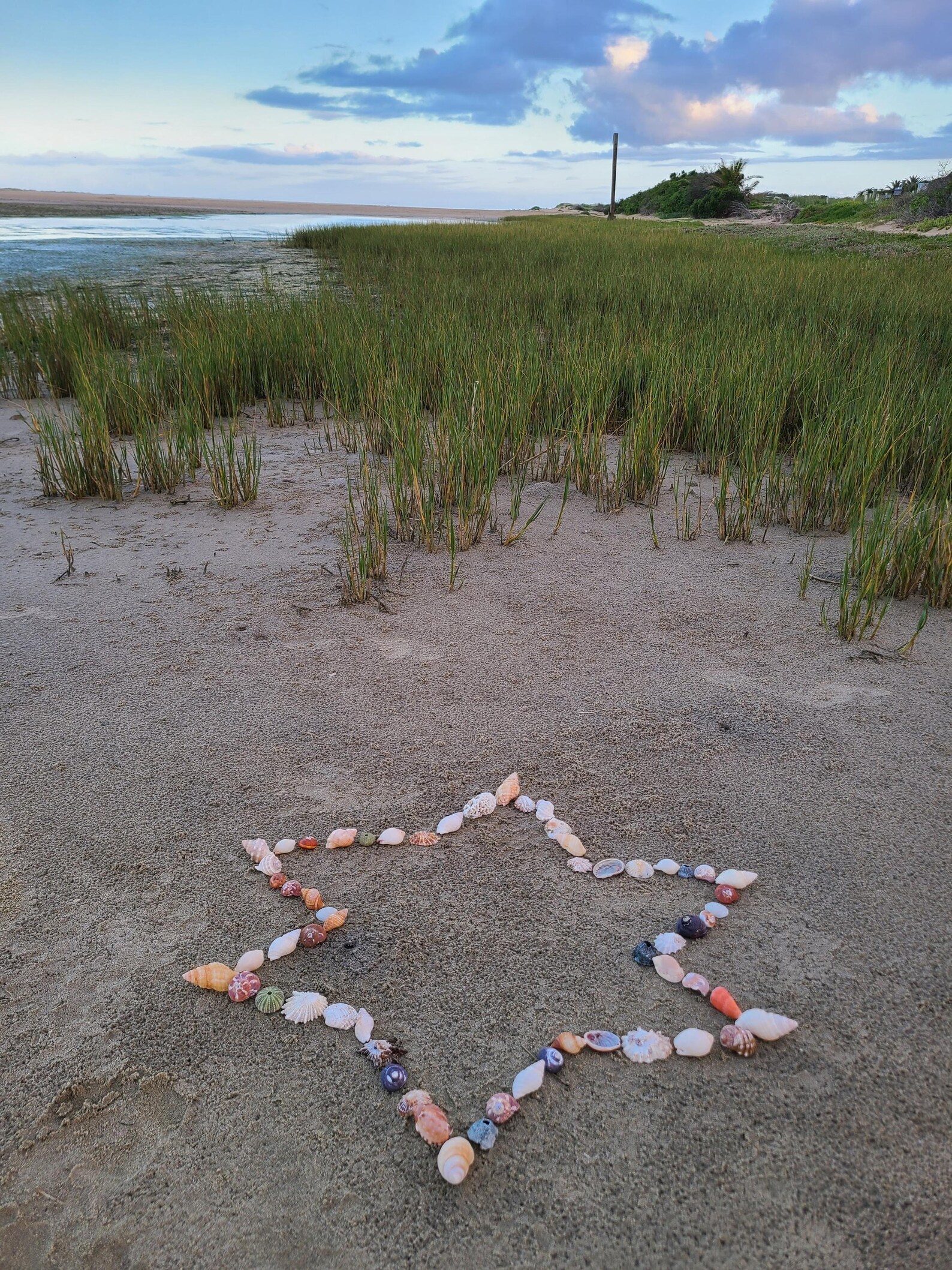 Seashell Signs, Digital Download, Ready to Purchase and Print on Paper ...